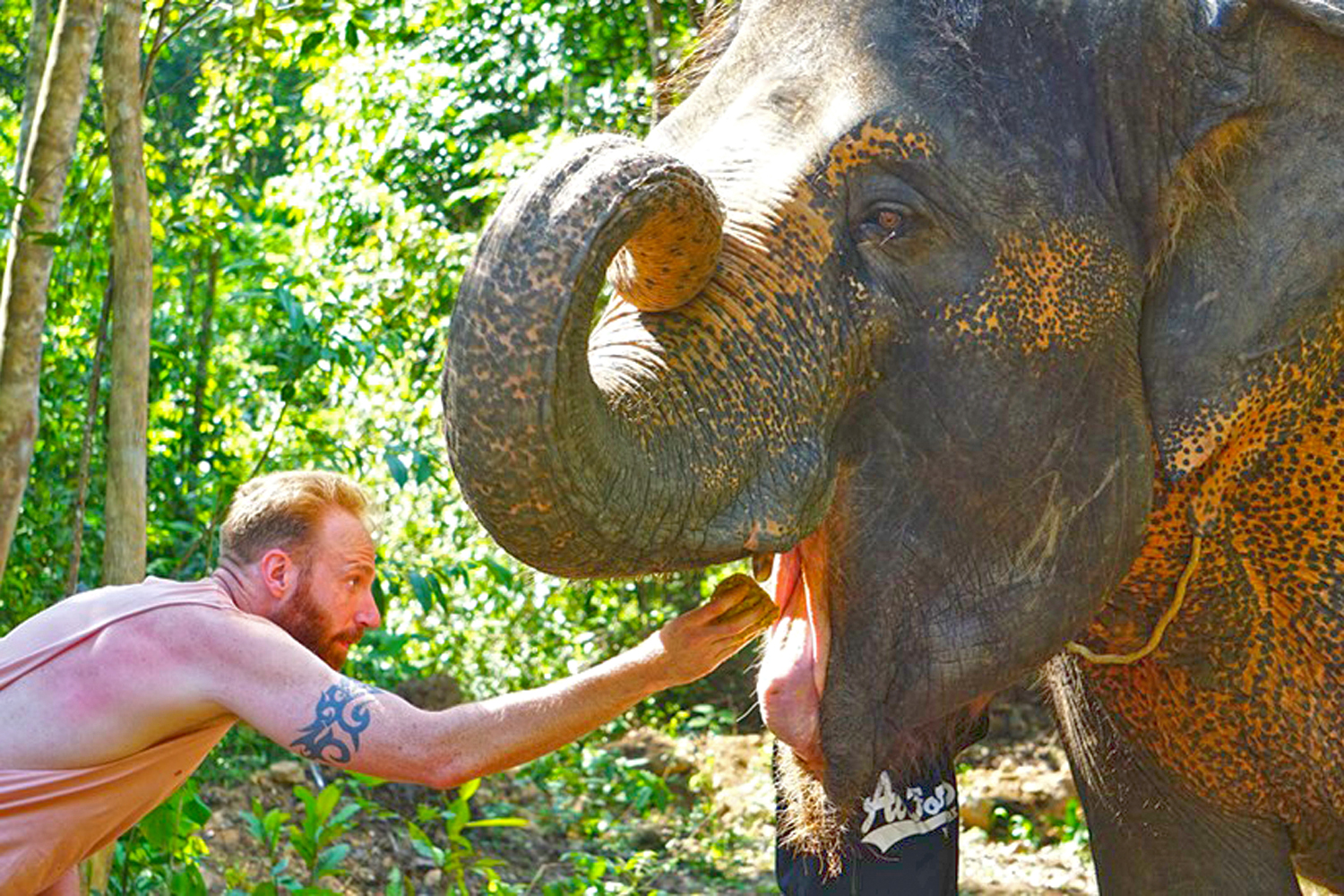 สปาช้าง เกาะสมุย (Samui Elephant Spa) - Smile Samui Tour